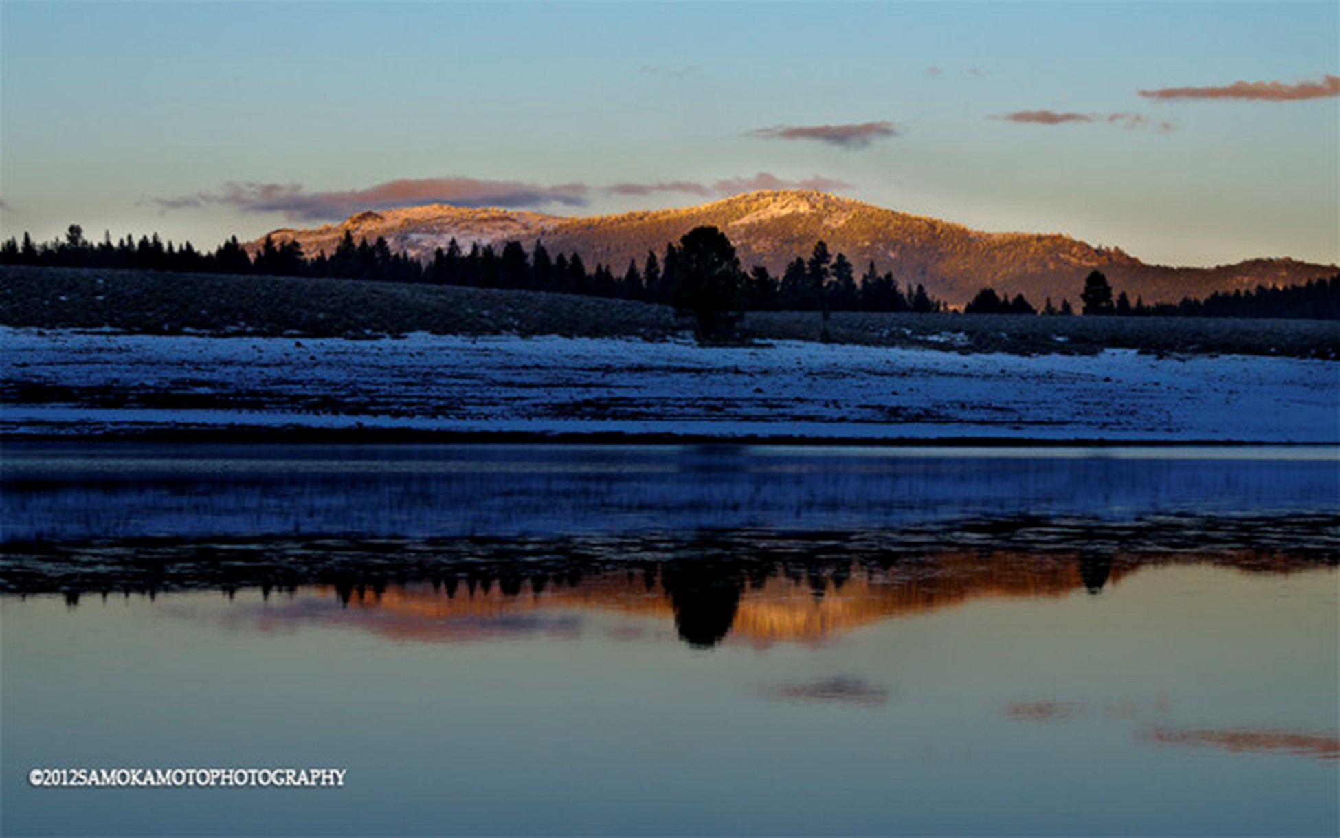 CLOSED: Accepting Applications for Director of Finance Position — Foriver